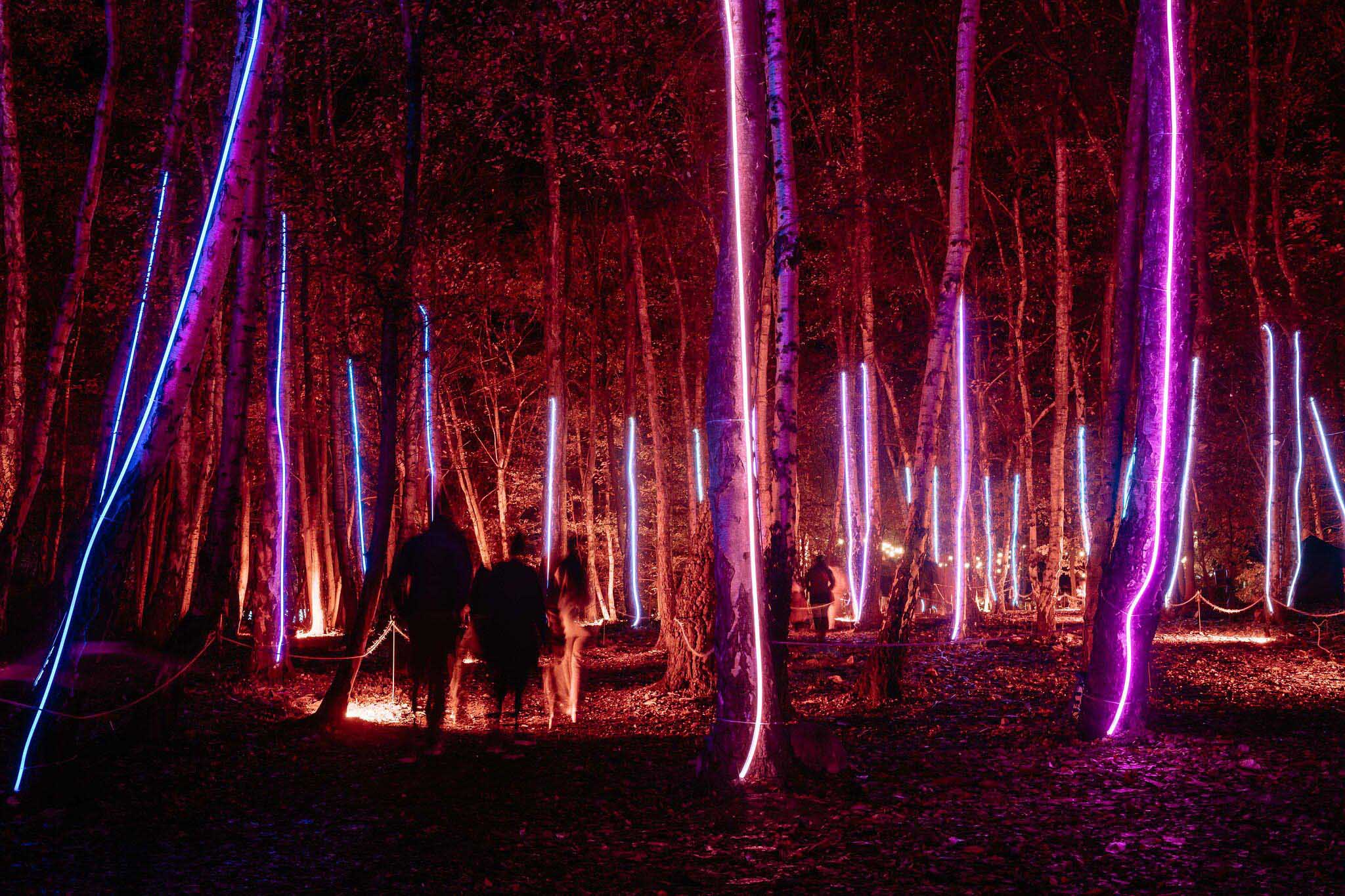 Windsor Great Park Illuminated Spectacular Light Trail Returns For A ...